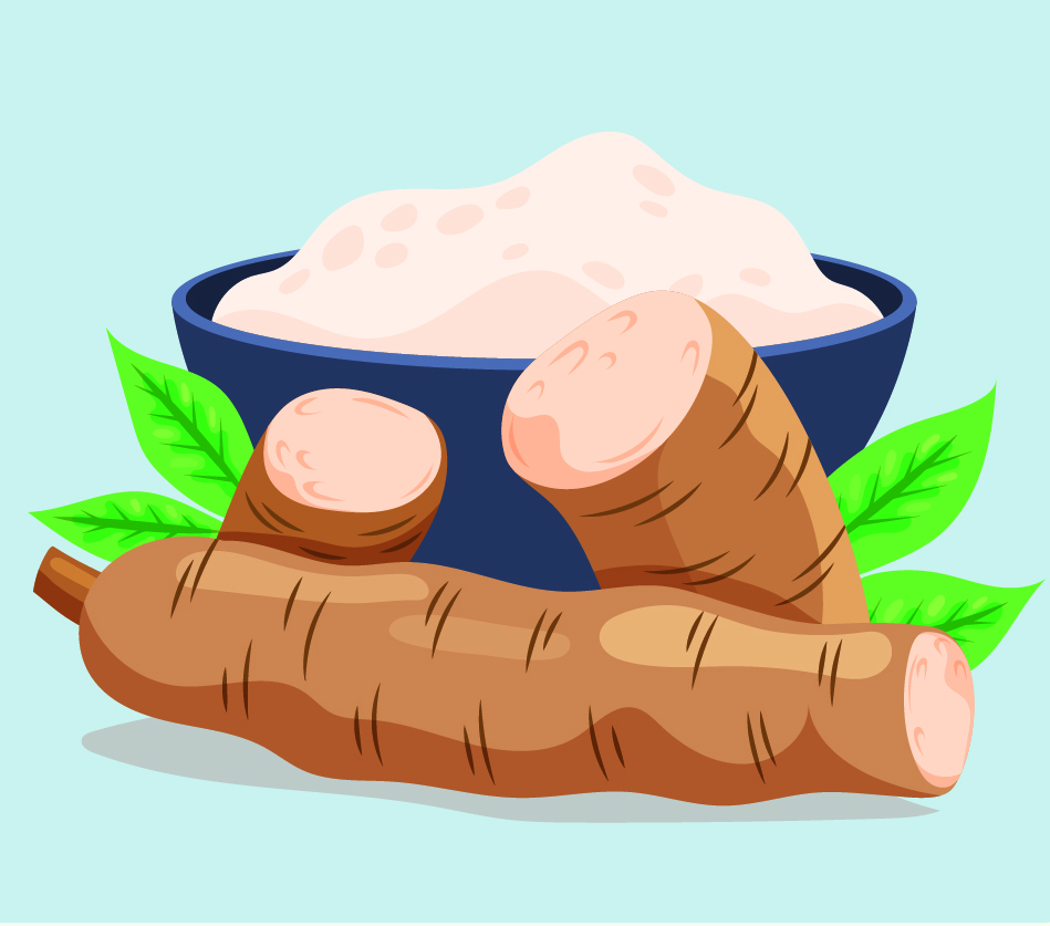 โครงการ Development Program on Cassava in Border Provinces (Farm and ...