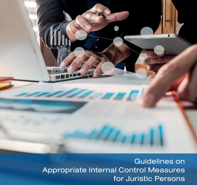 Guidelines on Appropriate Internal Control Measures for Juristic ...