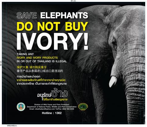 Do not buy Ivory - สถานเอกอัครราชทูต ณ กรุงโคเปนเฮเกน