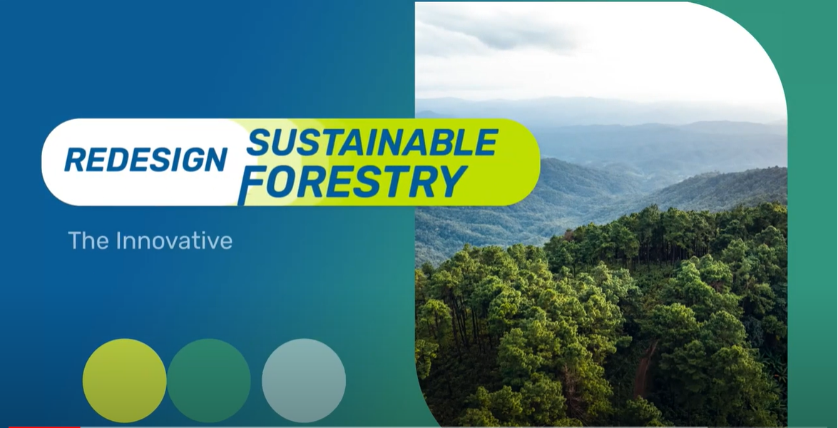 Redesign Sustainable Forestry ตัดไม้ แต่ได้ป่า แบบสวีเดนโมเดล - ฐาน ...