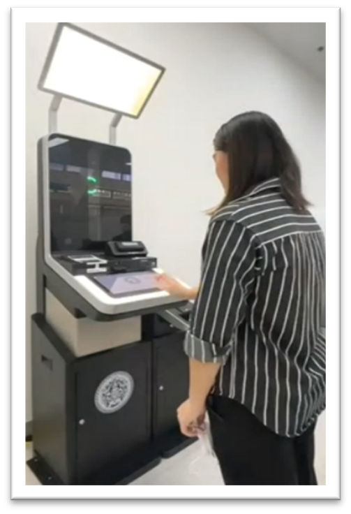 The E-Consular department at your service - Paving the way for ...