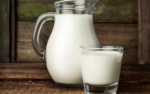 Synlait Milk's profit climb with infant formula sales growth - กรม ...