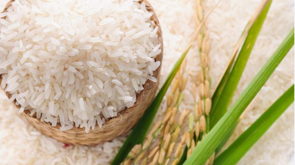Thai Hom Mali Rice: Thailand’s Honorable Grain - สถานกงสุลใหญ่ ณ นคร ...